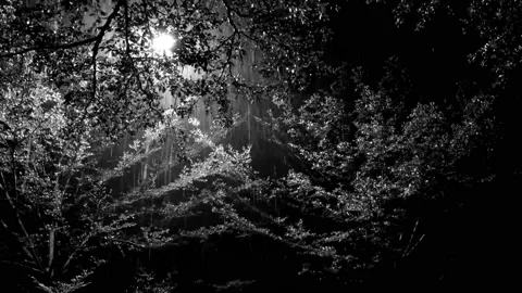 Night Time Fall Stock Videos – Royalty-Free HD & 4K Videos | Pond5