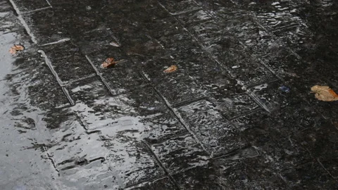 Rain falling on a city street. Fall leav... | Stock Video | Pond5
