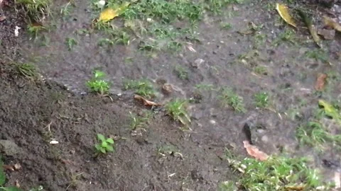 Dirt Falling Stock Footage ~ Royalty Free Stock Videos | Pond5