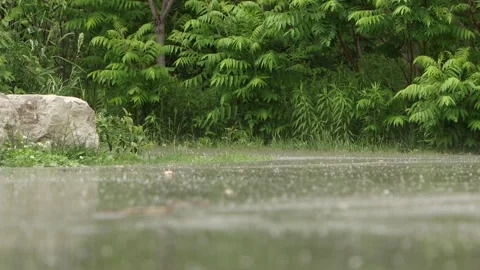 Rain falling lightly on pavement in park | Stock Video | Pond5