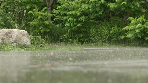Rain Lightly Stock Videos – Royalty-Free HD & 4K Videos