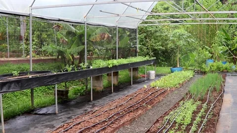 Rain falling over a sustainable farm wit... | Stock Video | Pond5