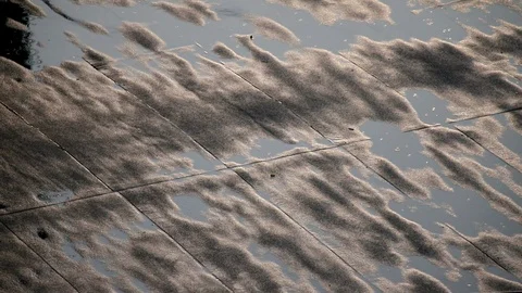 Rain falling on the roof top of a buildi... | Stock Video | Pond5