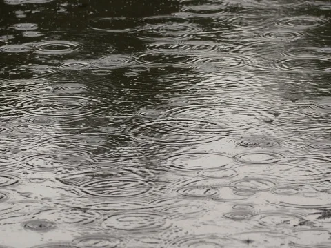 Rain falling on water surface | Stock Video | Pond5