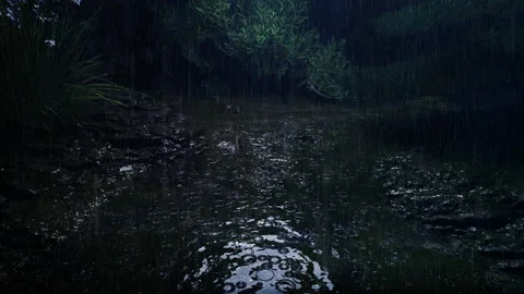 Rain falls on small streams in the rainf... | Stock Video | Pond5