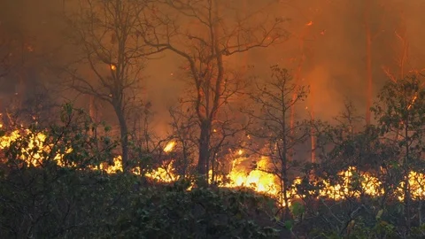 Burning Rain Stock Videos – Royalty-Free HD & 4K Videos