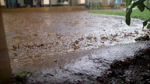 Light Rain In Mud Puddles Stock Footage ~ Royalty Free Stock Videos | Pond5