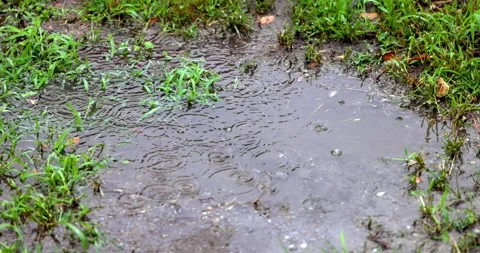 Rain Hitting Ground Stock Videos – Royalty-Free HD & 4K Videos | Pond5