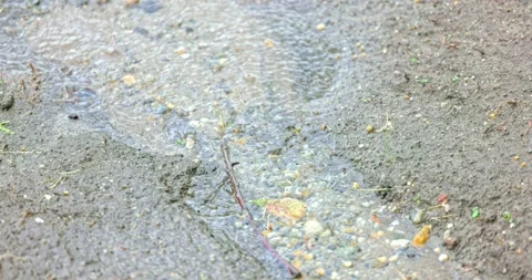 Rain Hitting Ground Stock Videos – Royalty-Free HD & 4K Videos | Pond5