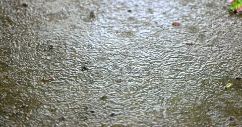 Rain Hitting Ground Stock Footage ~ Royalty Free Stock Videos | Pond5