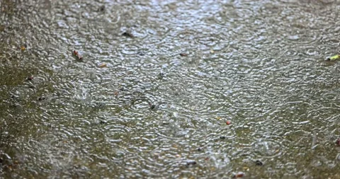Rain Hitting Ground Stock Videos – Royalty-Free HD & 4K Videos | Pond5