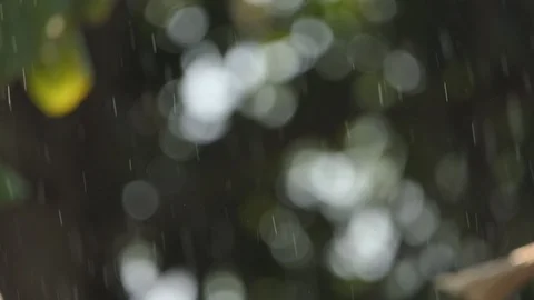 Rain mist In Slow Motion On nature backg... | Stock Video | Pond5