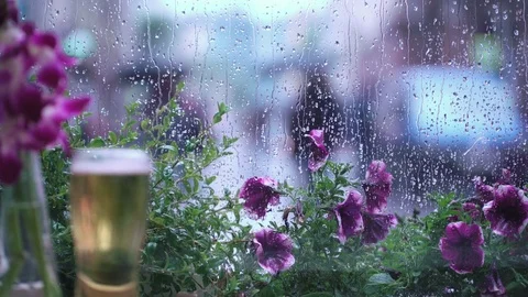 Rain outside the window of the café. A ... | Stock Video | Pond5
