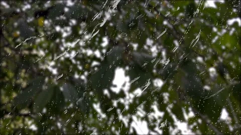Rain On Window Loop Stock Videos – Royalty-Free HD & 4K Videos | Pond5