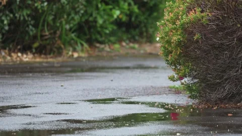 Rain splashing in puddles, driveway, rai... | Stock Video | Pond5