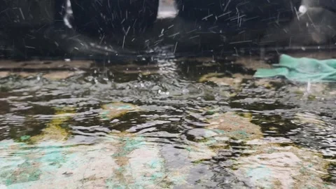 Fresh Puddles Stock Videos – Royalty-Free HD & 4K Videos | Pond5