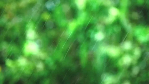 rain water drop falling natural backgrou... | Stock Video | Pond5