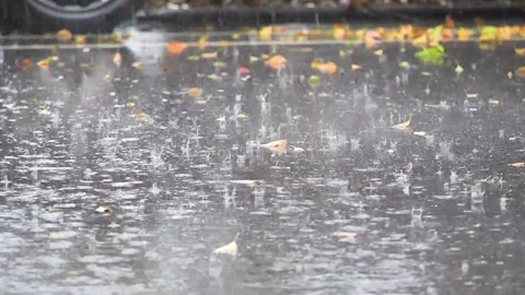 Rain water drops falling into puddle on ... | Stock Video | Pond5