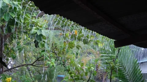 Torrents From Rain Stock Video Footage | Royalty Free Torrents From ...