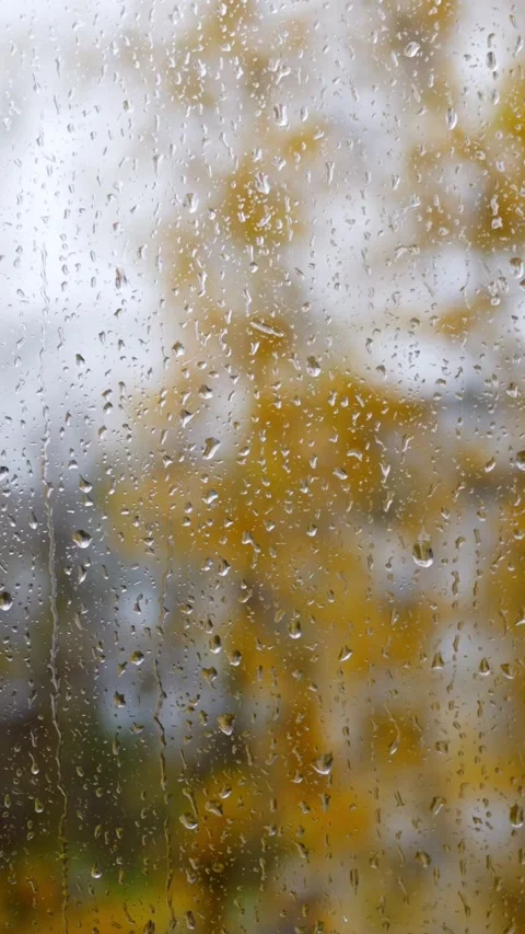 Cold Rain Weather Stock Videos – Royalty-Free HD & 4K Videos