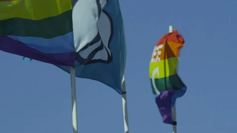 Rainbow flags with peace symbol waving i... | Stock Video | Pond5