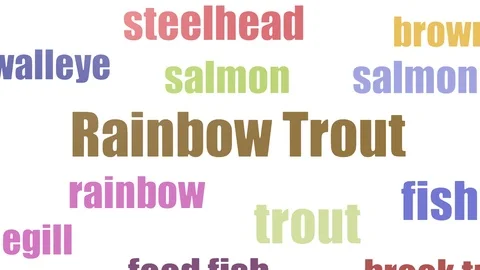 Rainbow Trout Word Cloud Animated Isolat... | Stock Video | Pond5