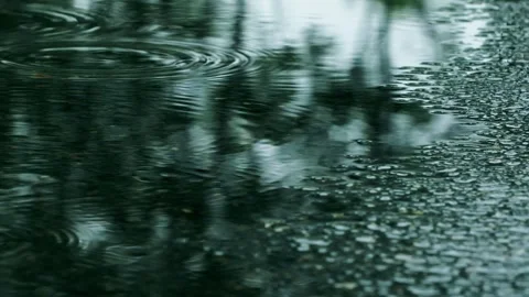 Raindrop mood - pavement raindrops | Stock Video | Pond5