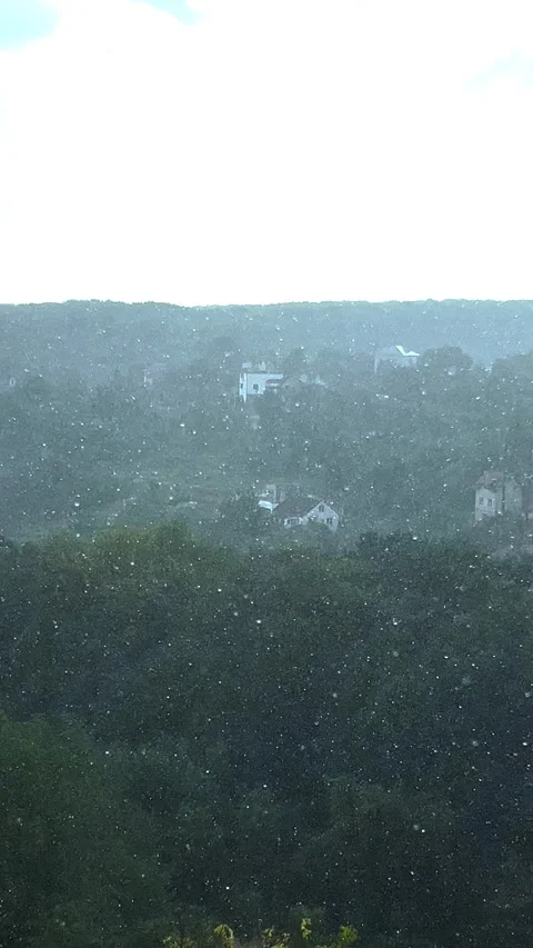 Vertical Fall Background Stock Videos – Royalty-Free HD & 4K Videos | Pond5