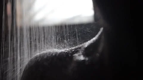 Men By Body Stock Videos – Royalty-Free HD & 4K Videos | Pond5