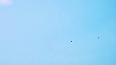Auto Transparent Background Stock Videos – Royalty-Free HD & 4K Videos