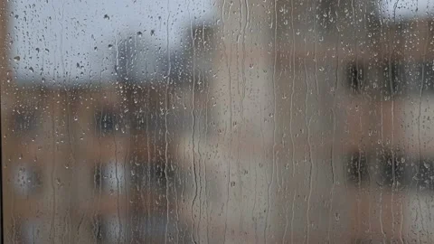 Window S01 Wallapepr Stock Videos – Royalty-Free HD & 4K Videos