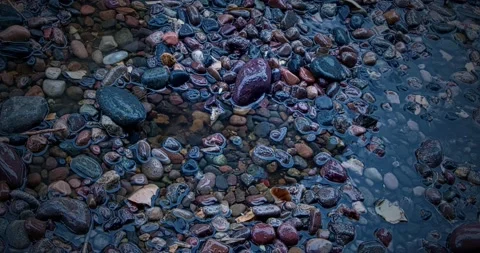 Raindrops in a Shallow Creek Bed | Stock Video | Pond5