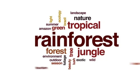 Rainforest Animation Stock Footage ~ Royalty Free Stock Videos | Pond5