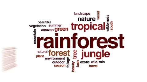Rainforest animated word cloud, text des... | Stock Video | Pond5