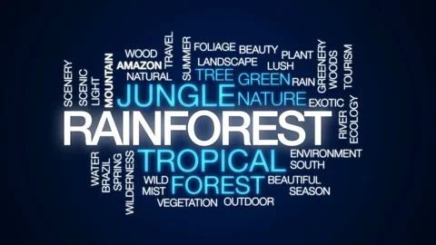 Rainforest Animation Stock Footage ~ Royalty Free Stock Videos | Pond5