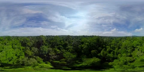 360 Rainforest Stock Videos – Royalty-Free HD & 4K Videos
