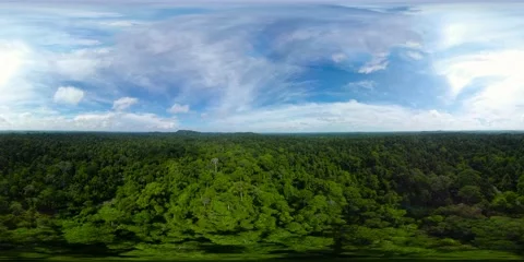 360 Rainforest Stock Video Footage | Royalty Free 360 Rainforest Videos ...