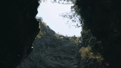 Rainforest cave with vegetation and wate... | Stock Video | Pond5