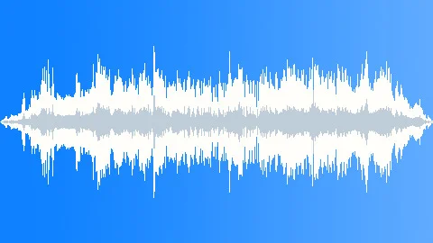 Sound Effect: Rainforest Forest Sounds Birds Singing Flies 5 ~ #220748207