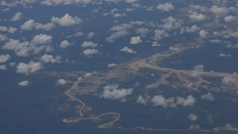 Habitat Destruction Stock Video Footage | Royalty Free Habitat ...