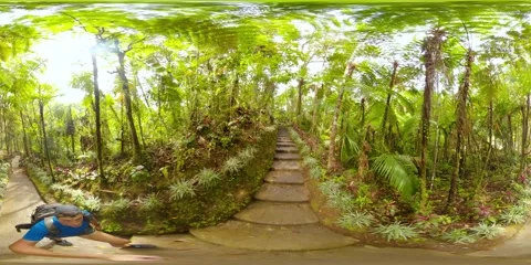 Rainforest in the Philippines. 360-Degre... | Stock Video | Pond5