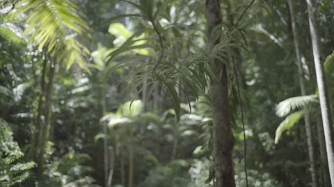 Pull To Scenes Stock Video Footage | Royalty Free Pull To Scenes Videos ...