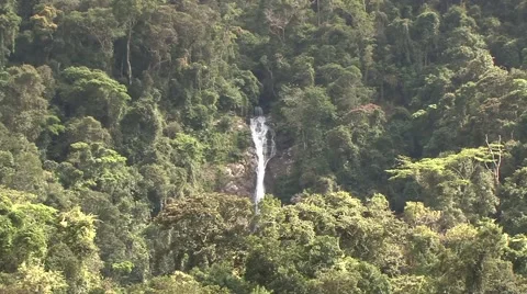 Rainforest waterfall fall down into rain... | Stock Video | Pond5