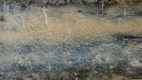 Raining on the ground with water splash. | Stock Video | Pond5