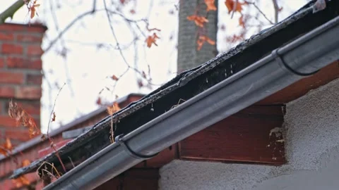 Rainwater Dripping from Roof Edge Into P... | Stock Video | Pond5