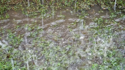 Rainwater drops fall to the ground in he... | Stock Video | Pond5