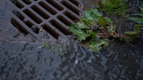 Rainwater falling into the drain | Stock Video | Pond5
