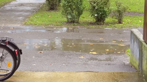 Rainy Fall Day Stock Videos – Royalty-Free HD & 4K Videos | Pond5