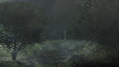 Rainy landscape in the wild forest at ni... | Stock Video | Pond5