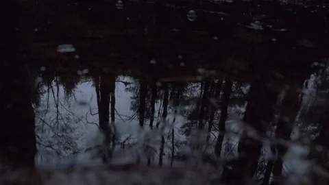 Water Scene Stock Video Footage | Royalty Free Water Scene Videos | Pond5